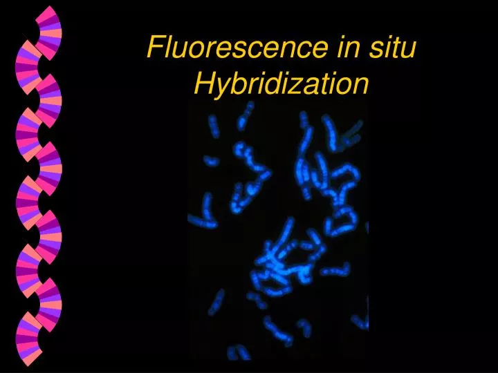 PPT - Fluorescence in situ Hybridization PowerPoint Presentation, free ...
