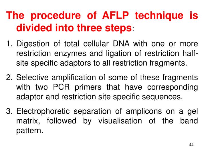 PPT - Marker Assisted Selection (MAS) PowerPoint Presentation - ID:1178474