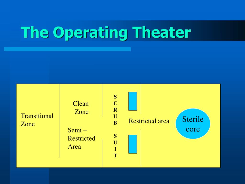 PPT - Reproductive System, Medical School of Universitas Padjadjaran ...