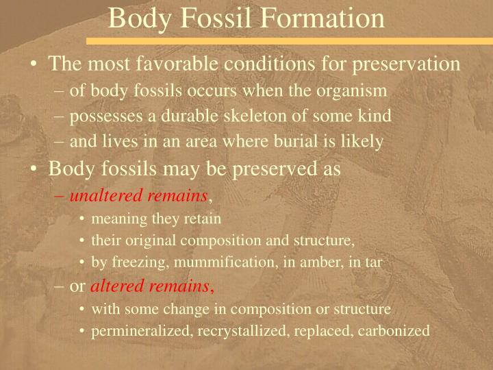 PPT - Geologic Time— Concepts and Principles PowerPoint Presentation ...
