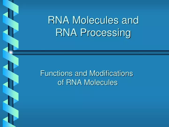 PPT - RNA Molecules and RNA Processing PowerPoint Presentation, free ...