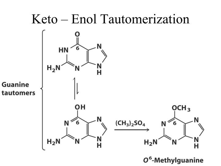 PPT - Nucleotides and Nucleic Acids - Lehninger Chapter8 PowerPoint ...