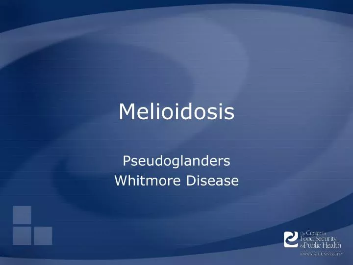 PPT - Melioidosis PowerPoint Presentation, free download - ID:1182153