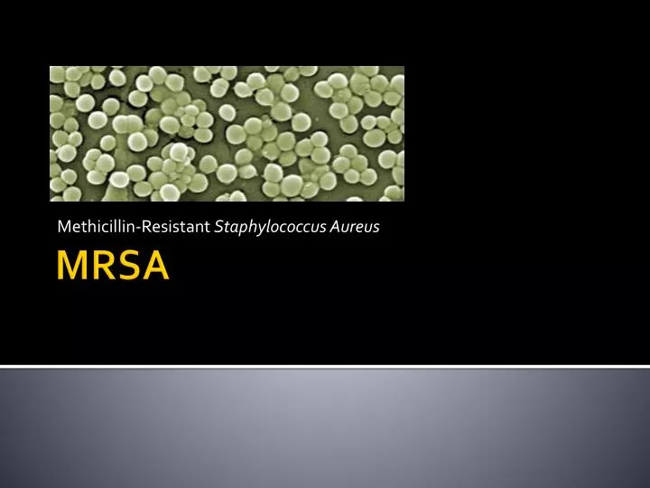 PPT - MRSA PowerPoint Presentation, free download - ID:1182214