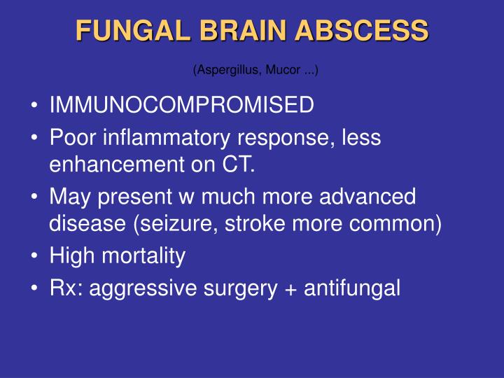 PPT - CNS ABSCESSES PowerPoint Presentation - ID:1182693