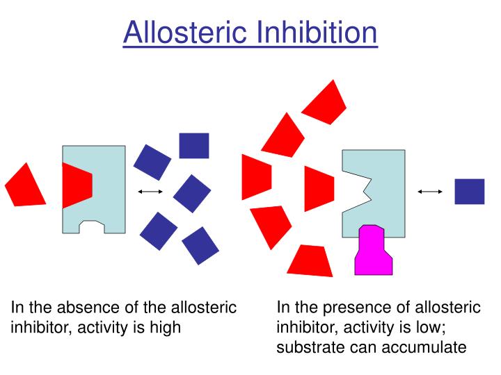 PPT - Glycolysis - Regulation PowerPoint Presentation - ID:1182875
