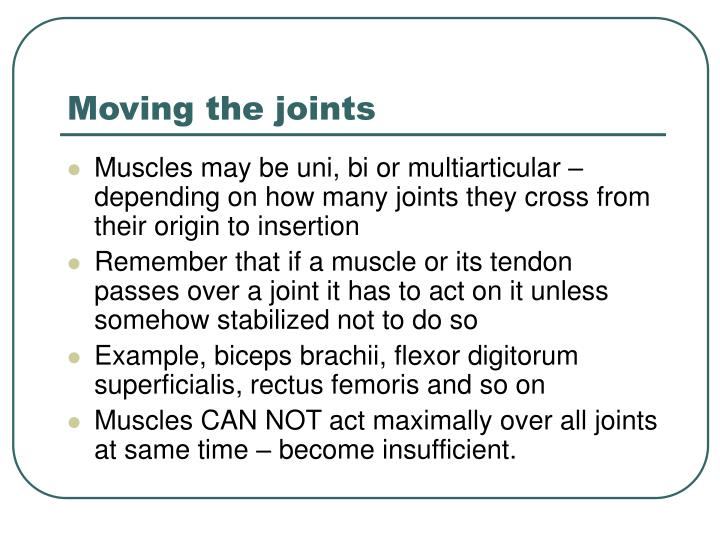 PPT - Overview Of Joint Movements PowerPoint Presentation - ID:1184355