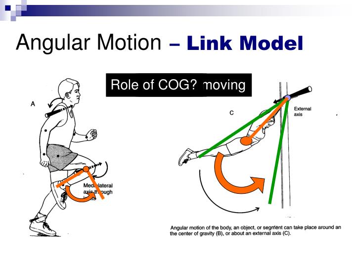 PPT - Movement Terminology PowerPoint Presentation - ID:1184511