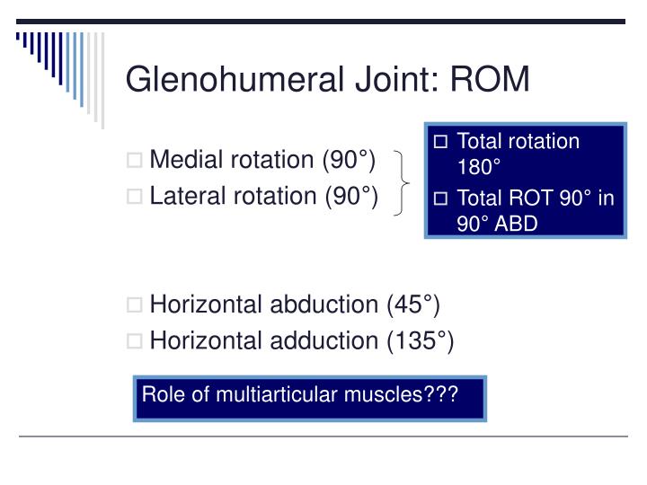 PPT - The Shoulder Complex PowerPoint Presentation - ID:1185146