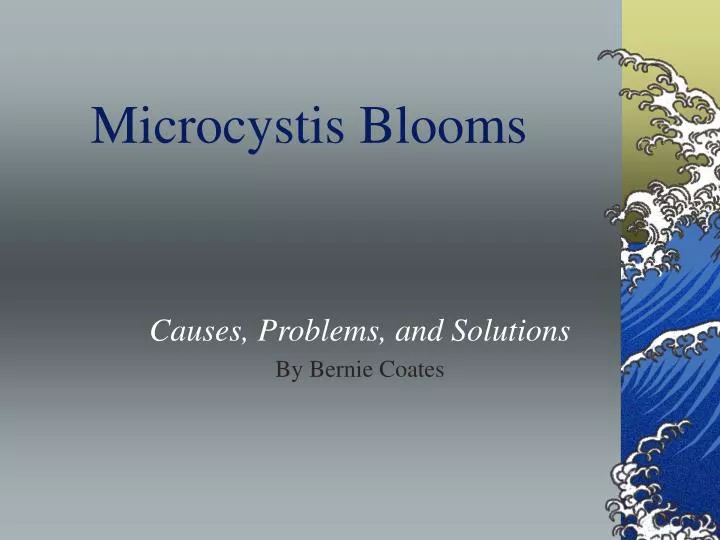 PPT - Microcystis Blooms PowerPoint Presentation, free download - ID ...
