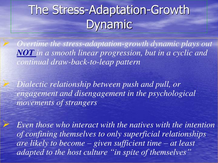 PPT - CROSS-CULTURAL ADAPTATION PowerPoint Presentation - ID:1186329