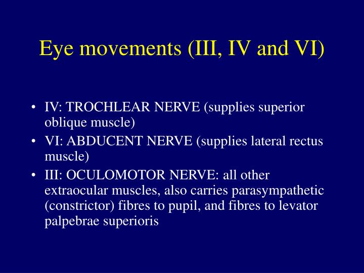 PPT - EXAMINATION OF THE CRANIAL NERVES PowerPoint Presentation - ID ...