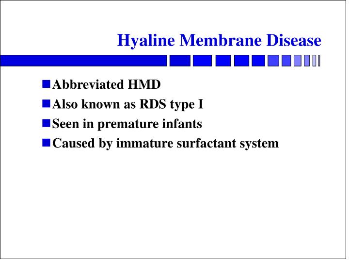 PPT - Neonatal Respiratory Pathology PowerPoint Presentation - ID:1187146