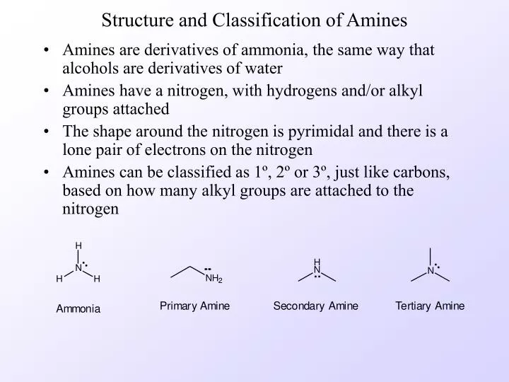 PPT - Structure and Classification of Amines PowerPoint Presentation ...