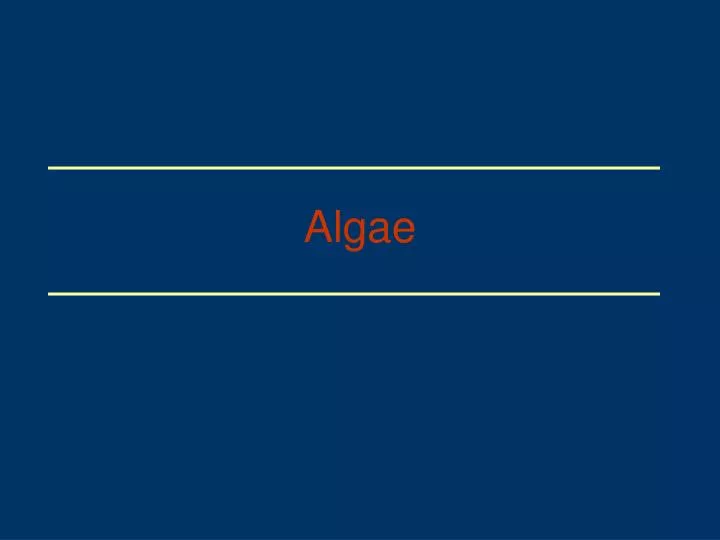 PPT - Algae PowerPoint Presentation, free download - ID:1188590