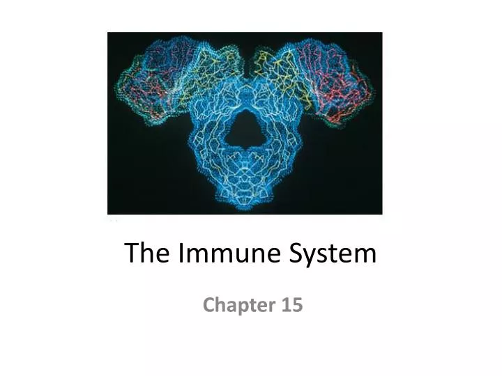 PPT - The Immune System PowerPoint Presentation, free download - ID:1189814