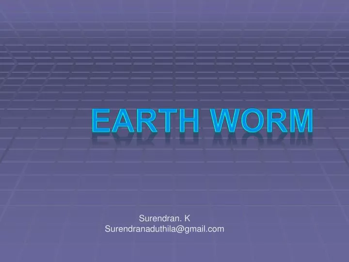 PPT - EARTH WORM PowerPoint Presentation, free download - ID:1192682