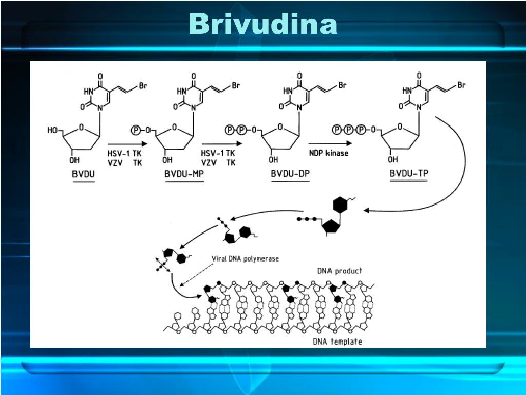 PPT - Farmacología de Antivirales PowerPoint Presentation, free ...