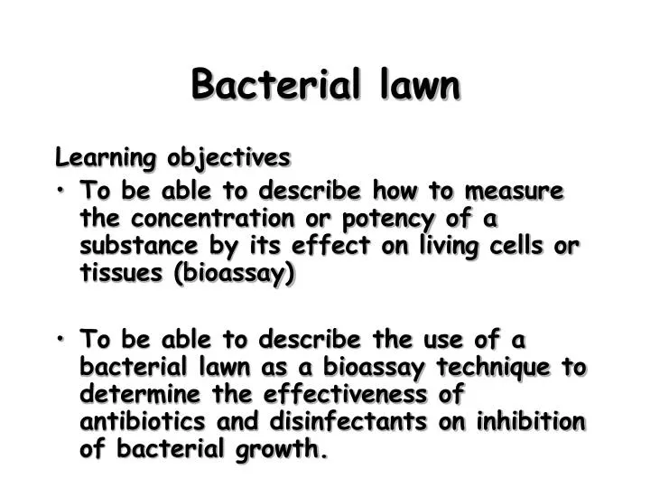 PPT - Bacterial lawn PowerPoint Presentation, free download - ID:1193613