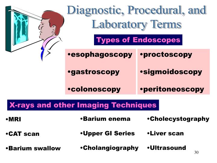 PPT - The Digestive System PowerPoint Presentation - ID:1193680