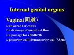 PPT - Anatomy of female reproductive system PowerPoint Presentation ...