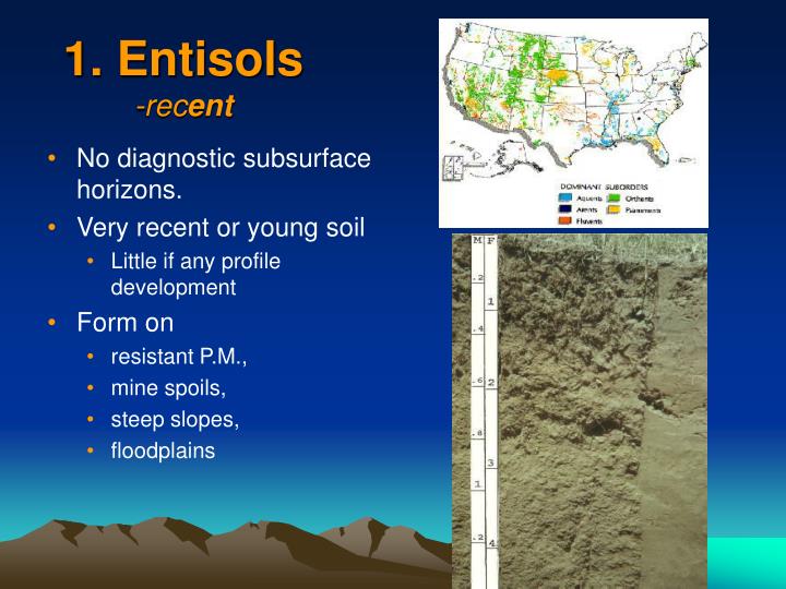 PPT - Soil Classification in the United States PowerPoint Presentation ...