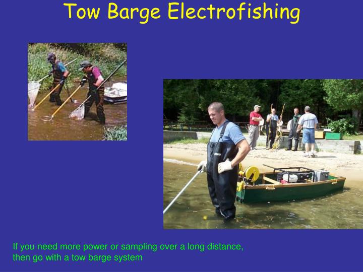 PPT - Backpack Electrofishers PowerPoint Presentation - ID:1195556