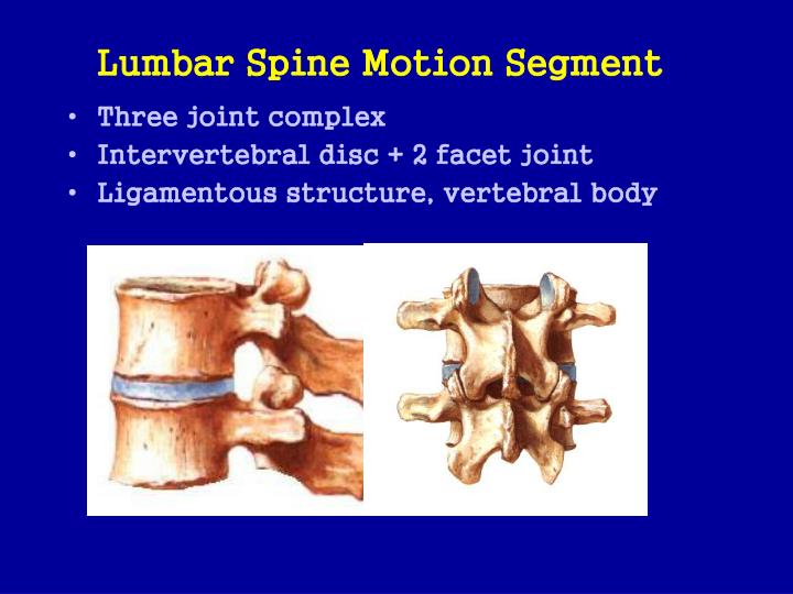 PPT - Lumbar Disc Herniation and Radiculopathy PowerPoint Presentation ...