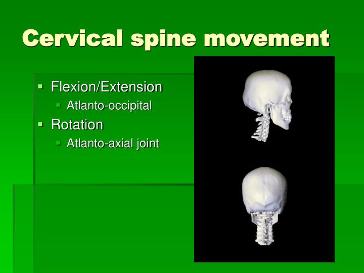 PPT - Cervical Spine Anatomy PowerPoint Presentation - ID:1196537