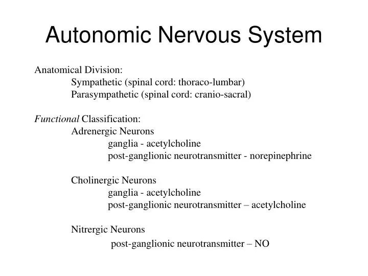 PPT - Autonomic Nervous System PowerPoint Presentation, free download ...