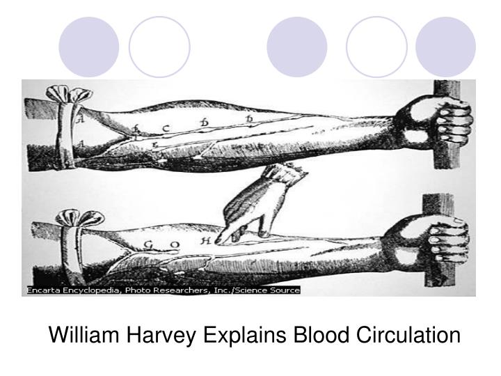 PPT - HISTORY OF BIOLOGY PowerPoint Presentation - ID:1196645