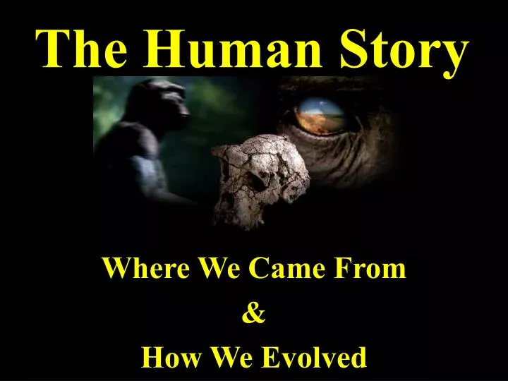 PPT - The Human Story PowerPoint Presentation, free download - ID:1196693