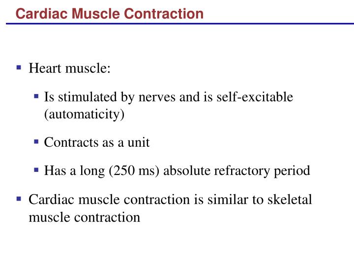 PPT - Microscopic Anatomy of Heart Muscle PowerPoint Presentation - ID ...