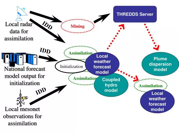 PPT - Assimilation PowerPoint Presentation, free download - ID:119858