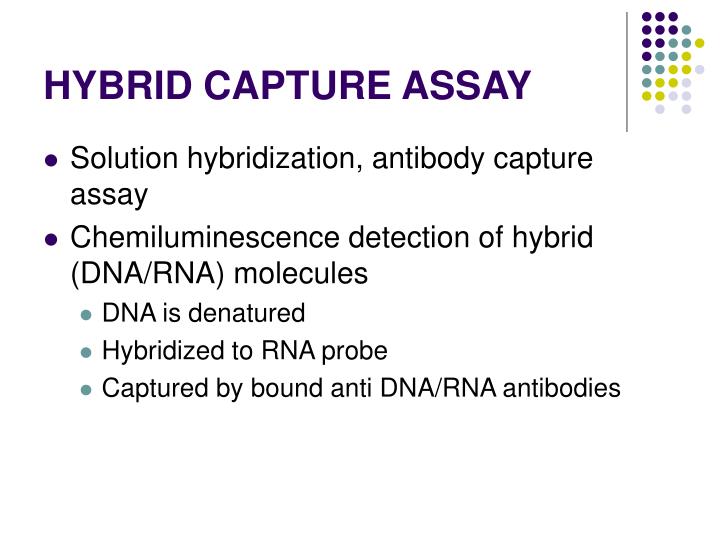 PPT - Chapter 7: Nucleic Acid Amplification Techniques PowerPoint ...
