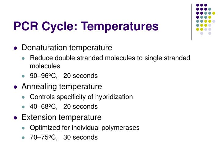 PPT - Chapter 7: Nucleic Acid Amplification Techniques PowerPoint ...