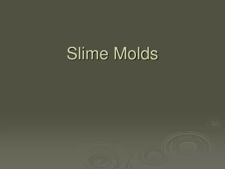 PPT - Slime Molds PowerPoint Presentation, free download - ID:1200026