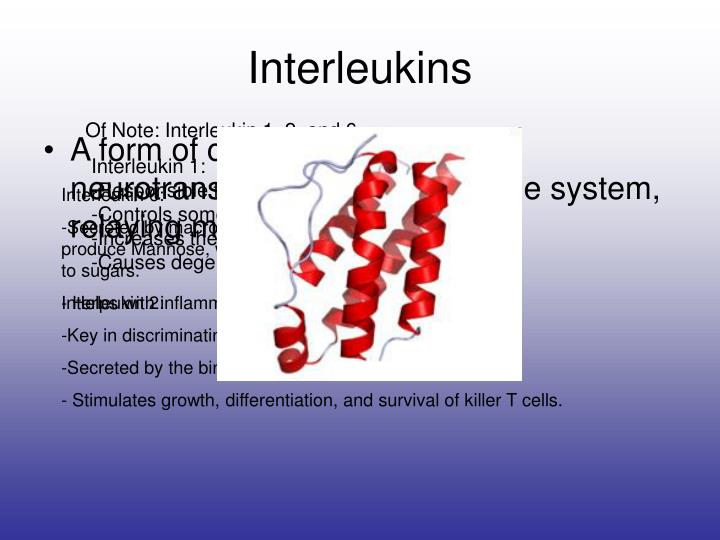 PPT - The Human Immune System: Basics and then some… PowerPoint ...
