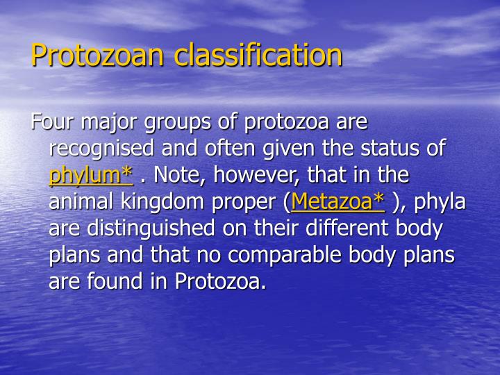 Classification Of Protozoa