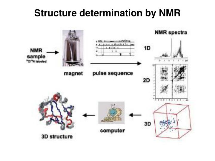 PPT - Nuclear Magnetic Resonance (NMR) Data Protein Protein Docking PowerPoint Presentation - ID ...