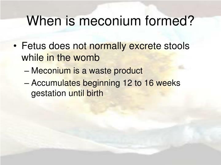 PPT - Meconium: A Sticky Situation PowerPoint Presentation - ID:1201418