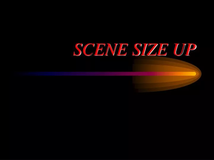 PPT - SCENE SIZE UP PowerPoint Presentation, free download - ID:1201496