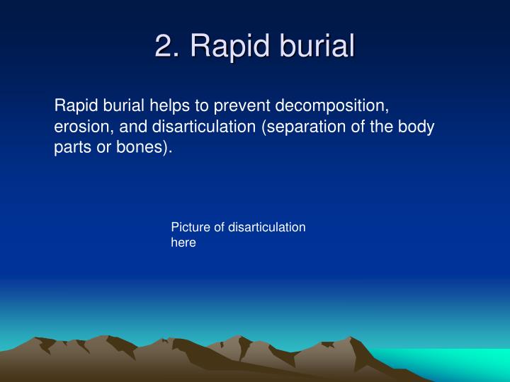 PPT - Paleontology PowerPoint Presentation - ID:1201993