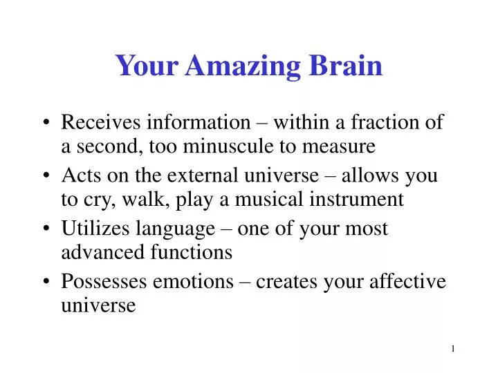 PPT - Your Amazing Brain PowerPoint Presentation, free download - ID ...