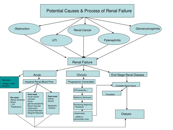 PPT - Alterations of Renal and Urinary Tract Function Concept Maps ...
