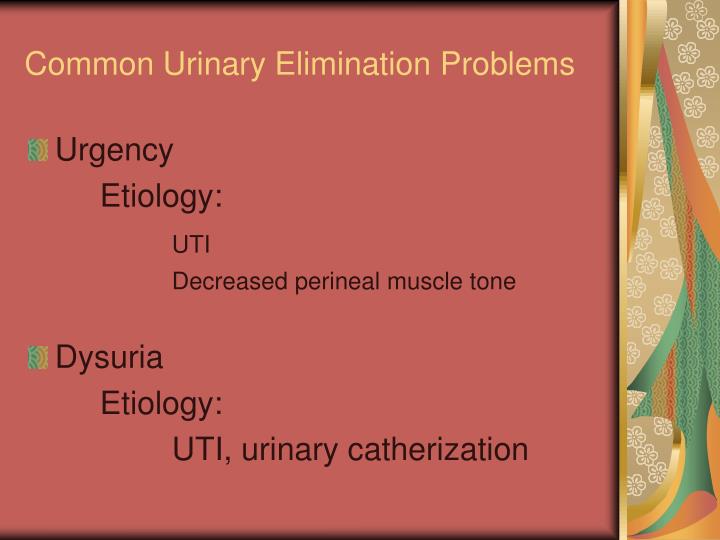 PPT - Alterations in Elimination PowerPoint Presentation - ID:1203418