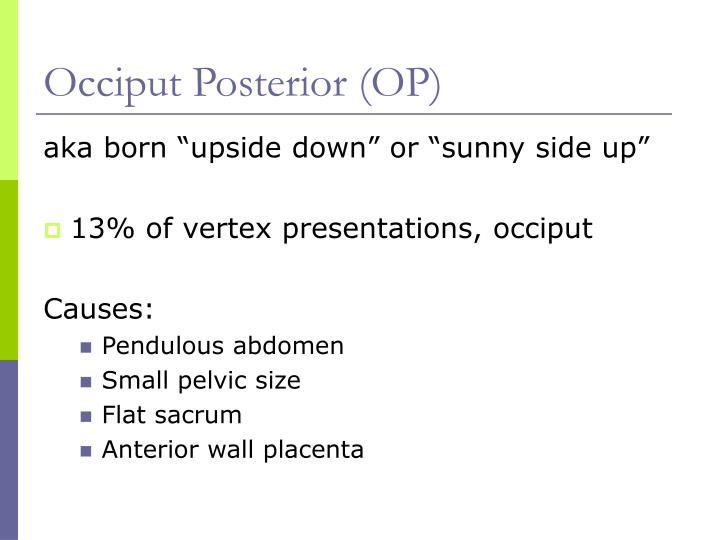PPT - Mechanisms of Birth PowerPoint Presentation - ID:1203609