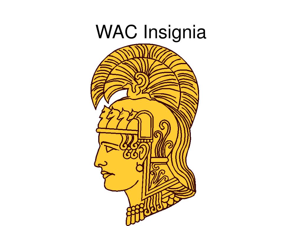 PPT - Women Warriors: The Amazon Tradition PowerPoint Presentation ...