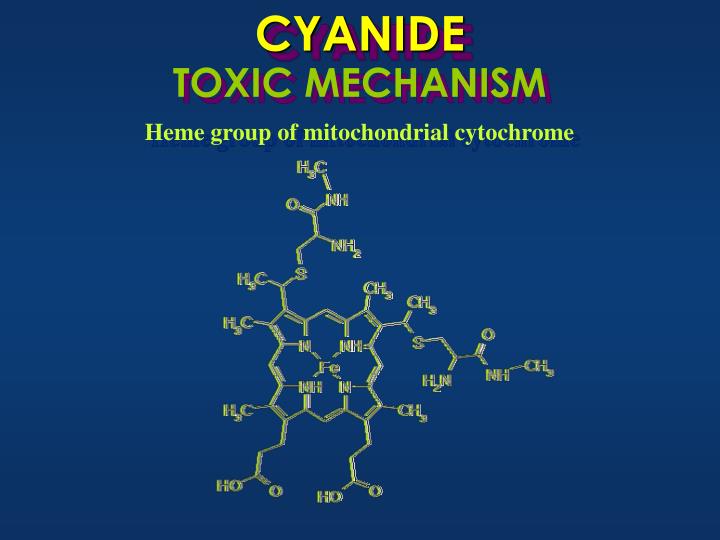 PPT - CYANIDE PowerPoint Presentation - ID:1204334