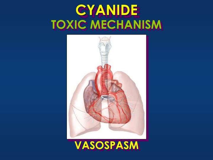 PPT - CYANIDE PowerPoint Presentation - ID:1204334